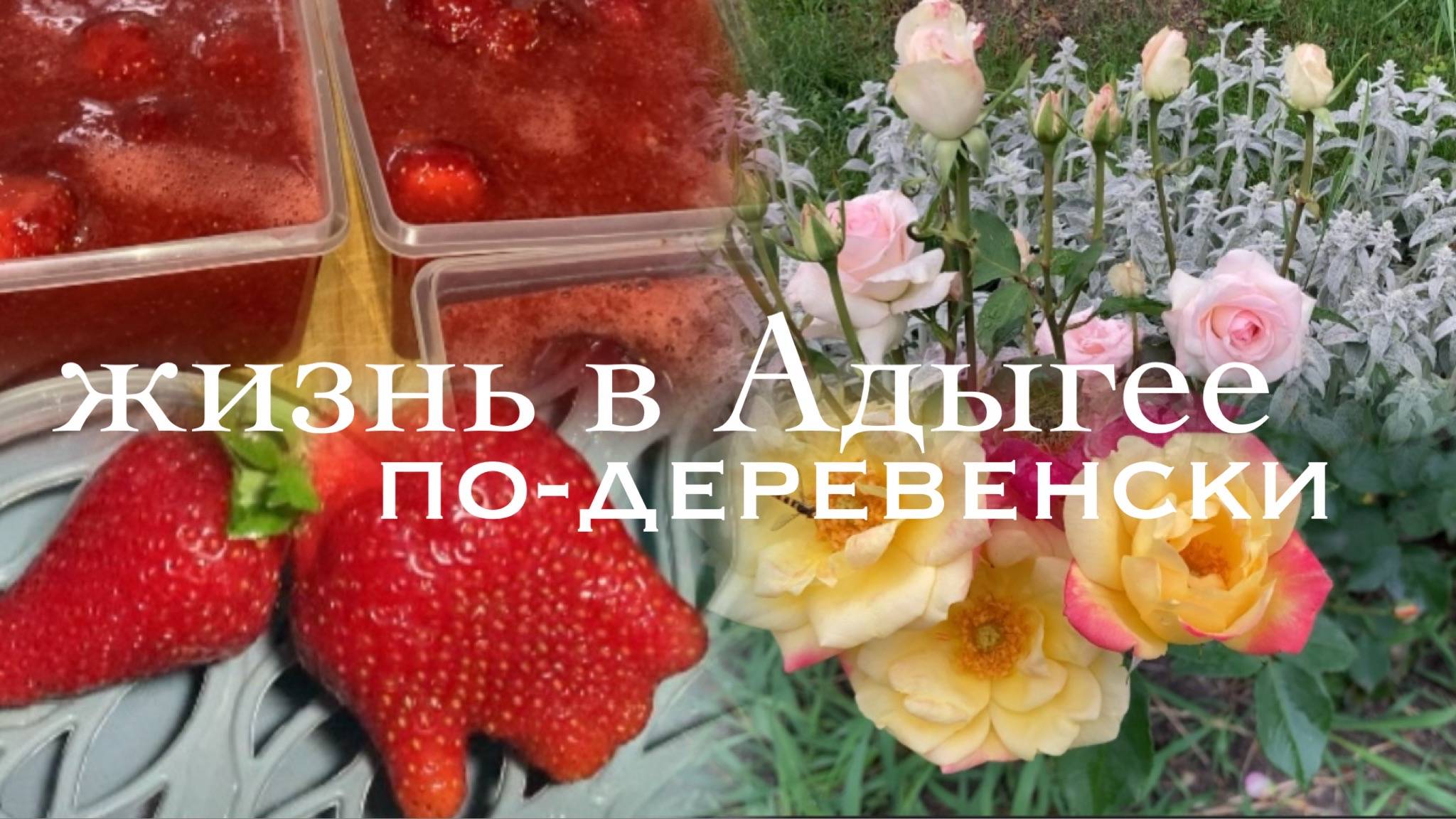 Адыгея/ Розовая пора/ Сенокос открылся/ Клубничные заготовки/ Бешеная отара/