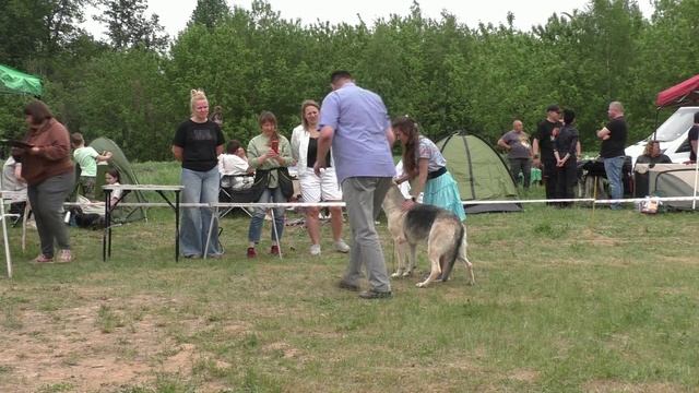 РЛ Огненная Птица