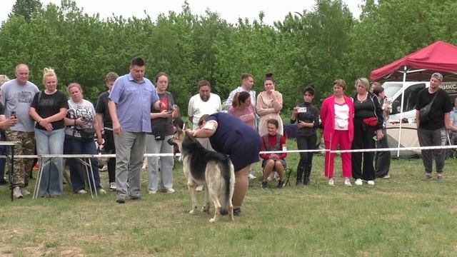 Посадский Страж Уильям