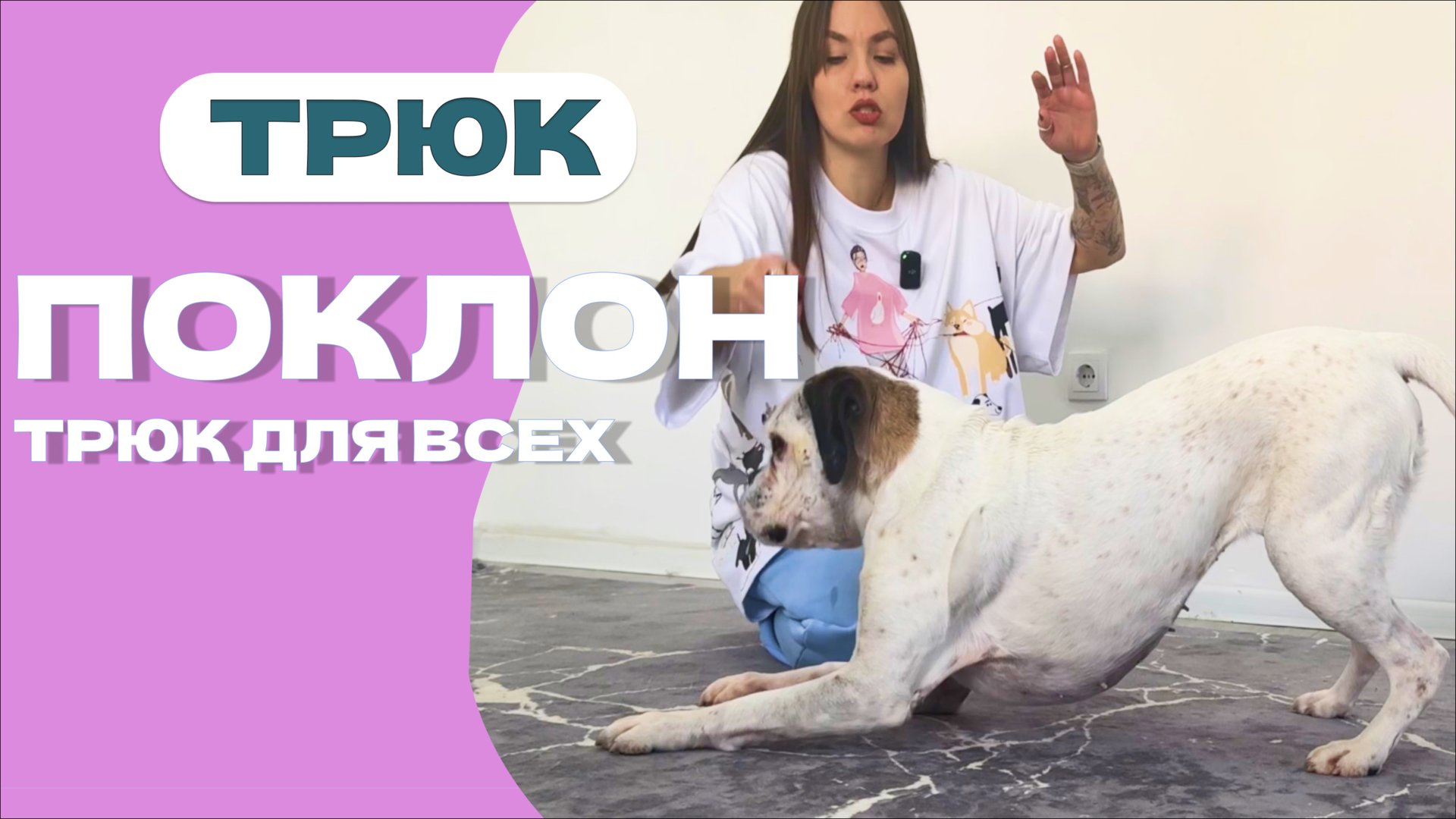 ВЫУЧИТЬ ПОКЛОН С СОБАКОЙ, простая команда