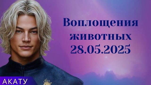 АКАТУ ~ Воплощения животных