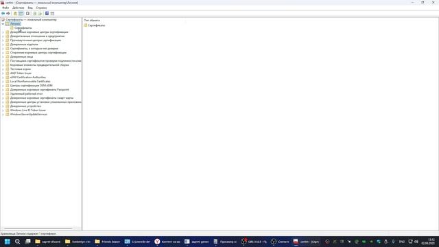 Windows 11 Срок действия сертификата для Локальная система с отпечатком  скоро истекает или уже