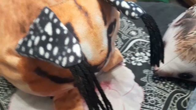 хренобус детектив №1 SCP-096 скромник