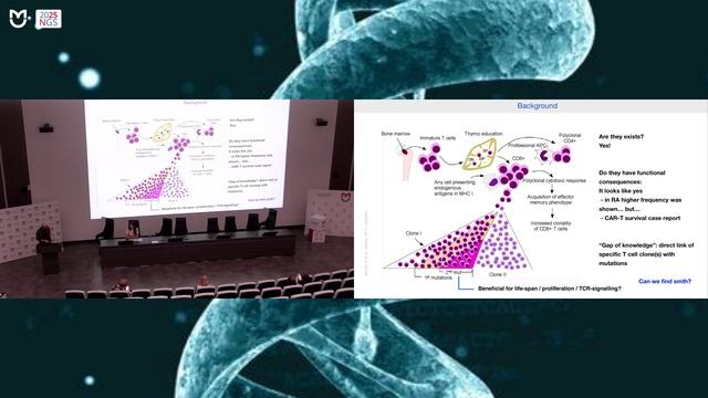 Клон-специфичные соматические мутации Т-лимфоцитов при аутоиммунной патологии