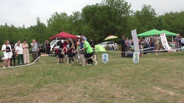 Питомник Русская Легенда