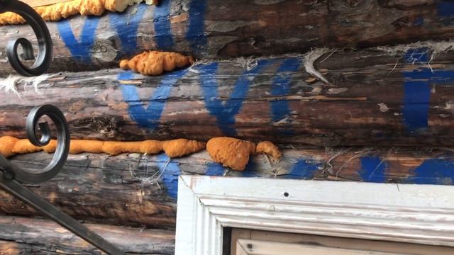 Козырек над дверью своими руками