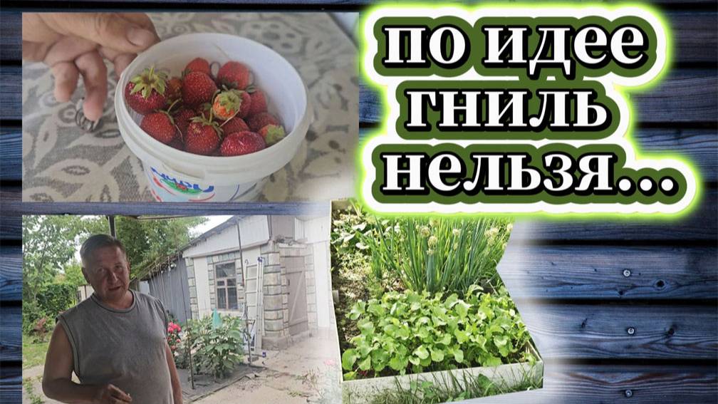 88-25! VLOG ТЕСТ ДЛЯ МАМЫ/ДЕЛЮСЬ ПЛАНАМИ/АРЧИК -ЗАЙЧИК/ИДЕЯ ИГОРЕВИЧА/ОГОРОД