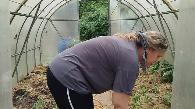 Полив. Часть вторая