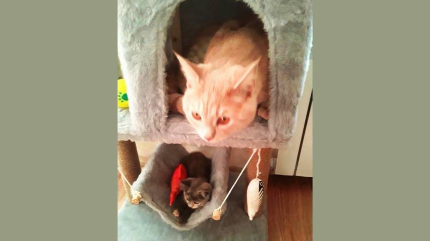 Спецбригада 😋