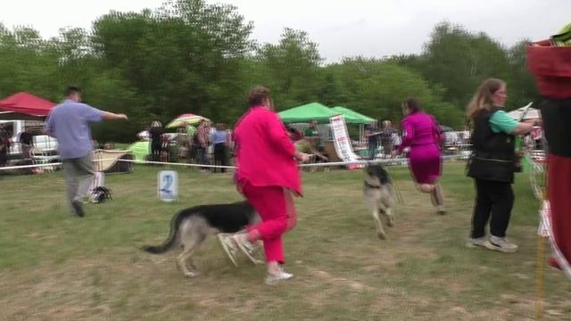 Сравнение на ЛЮ