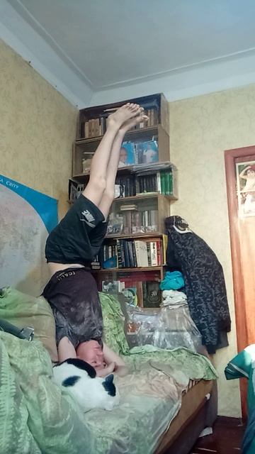 Стойка вверх ногами