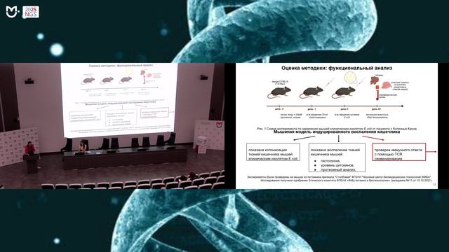 Оптимизация и применение протокола подготовки кДНК-библиотек