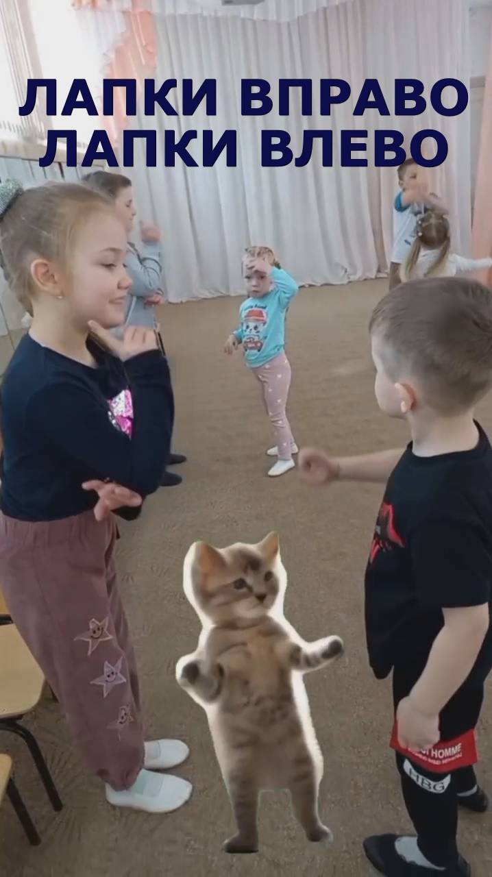 Котята-малыши готовятся к выпускному