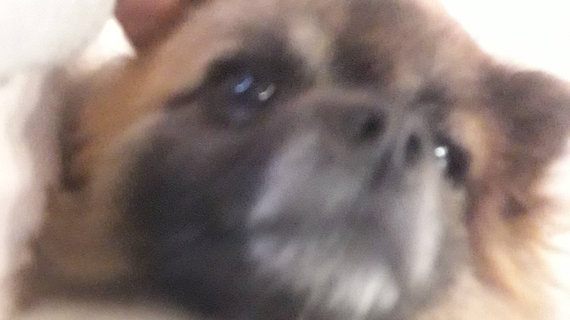 ✅как сделать космическую  машинку  (пошагово)