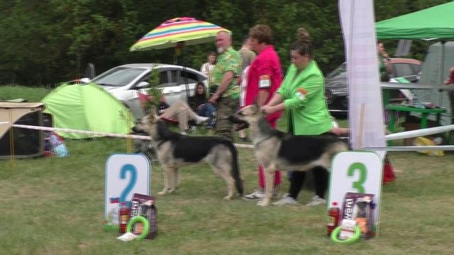 Расстановка класса юниоров