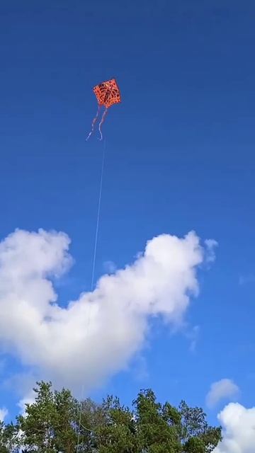 Запускаем воздушного змея