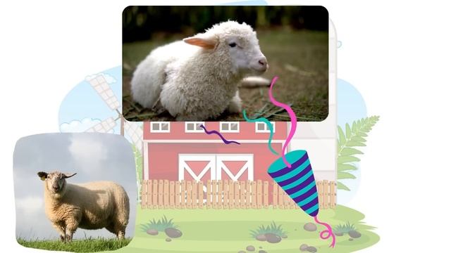 СБОРНИК Развивающие МУЛЬТИКИ для детей Учимся говорить Развитие речи Развивающие видео для малышей