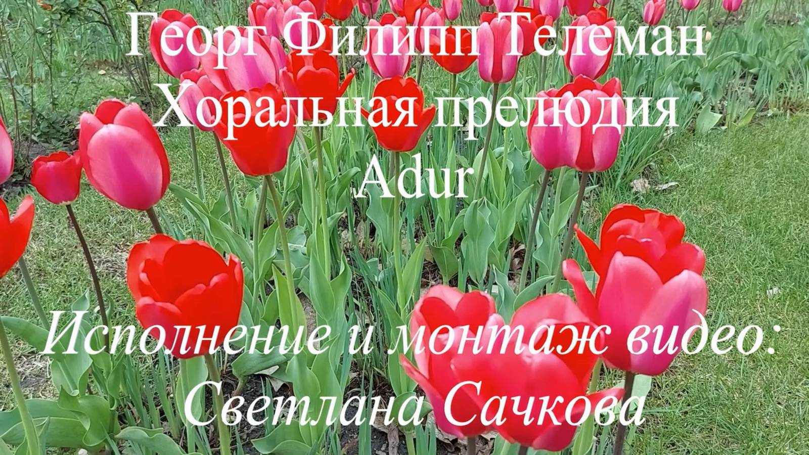 Георг Филипп Телеман "Хоральная прелюдия A dur" Светлана Сачкова