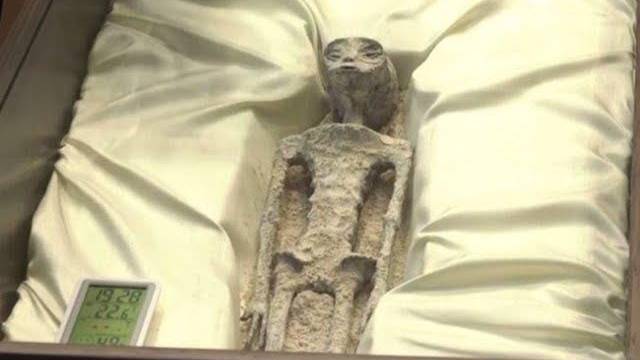 Мумии "инопланетян Наска" в мексиканском конгрессе