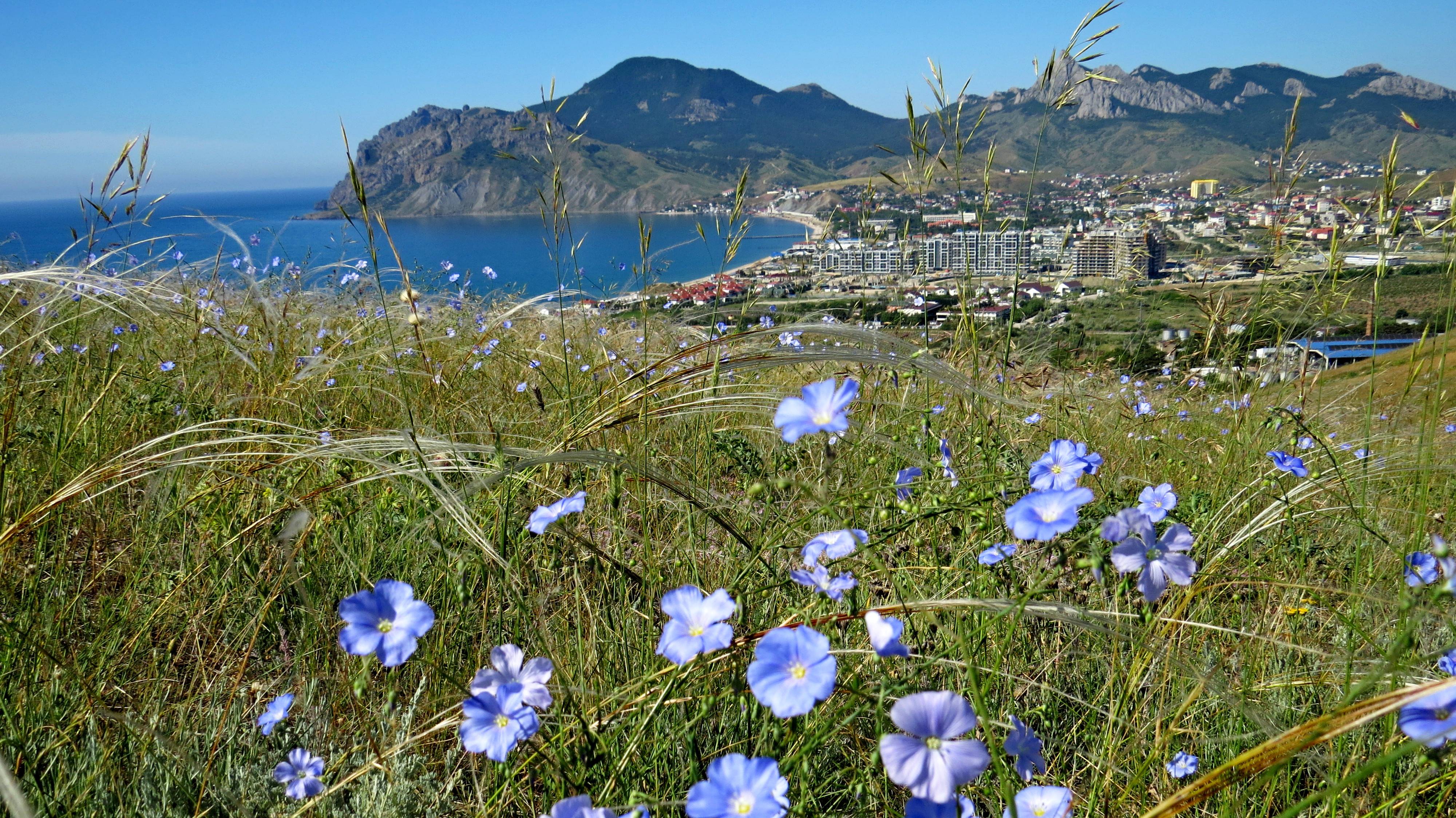 По Кимерийским холмам. От Коктебеля до Орджоникидзе. 1 июня.