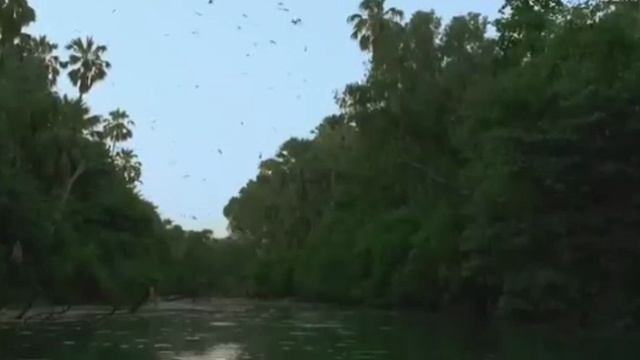 .... Австралия - Что мы знаем про неё....