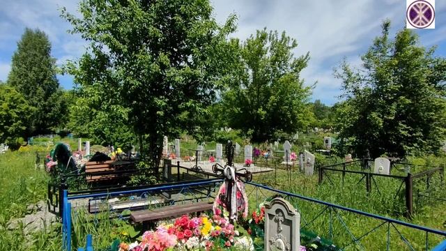 Задание 6. Конкурс Экстрасенсов-Поисковиков ТАЙНЫ НЕРОПОЛЯ: Живое-Мёртвое. Весна 2025