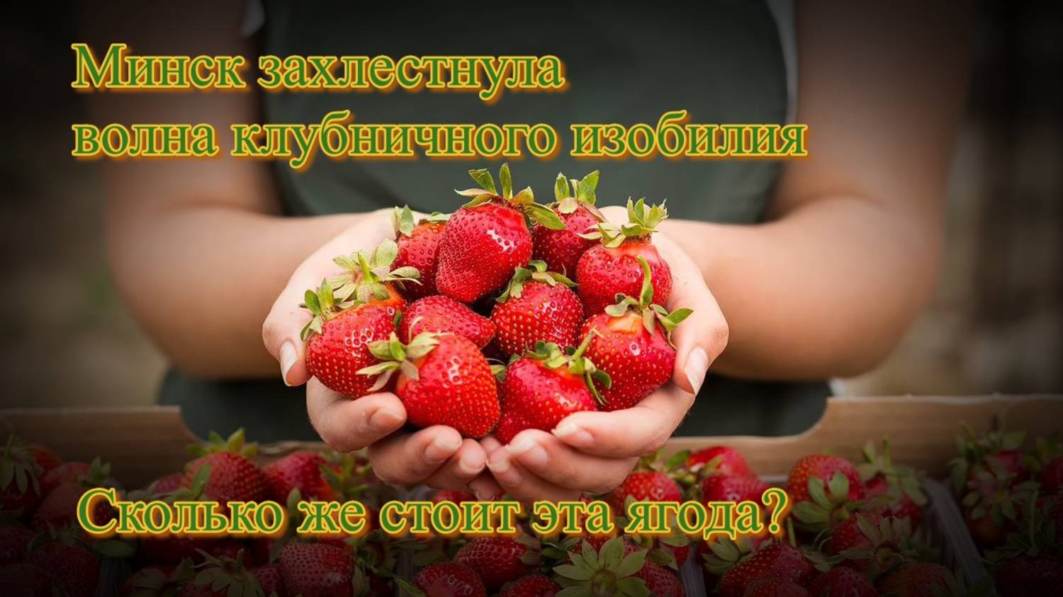 Минск захлестнула волна клубничного изобилия! Сколько же стоит клубника в Минске?