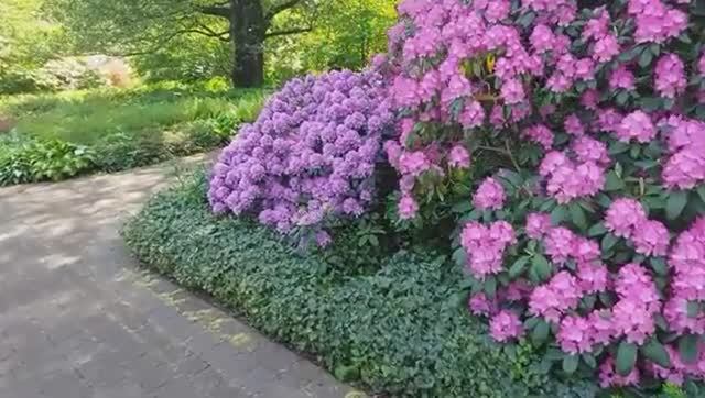 Влог_Первого_Дня_Лета. Рената Смирнова. 2025