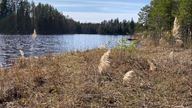 "НЕСПЕШНАЯ СЕВЕРНАЯ ВЕСНА"... (Фото группы СЕВЕРНАЯ ГЛУБИНКА), музыка Абеля КОРЖЕНЁВСКОГО)