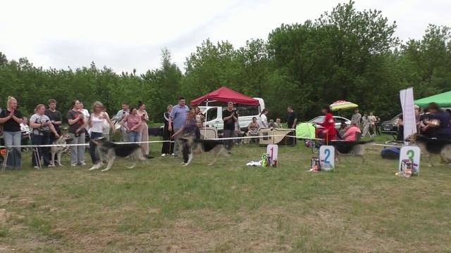 Расстановка класса чемпионов