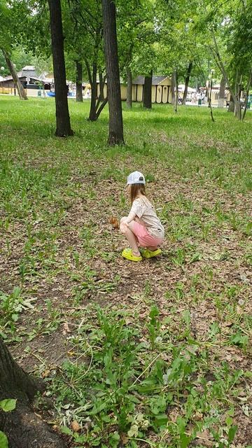 Полина кормит белочку. Polina is feeding the squirrel.