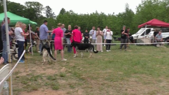 Расстановка КЧНКП