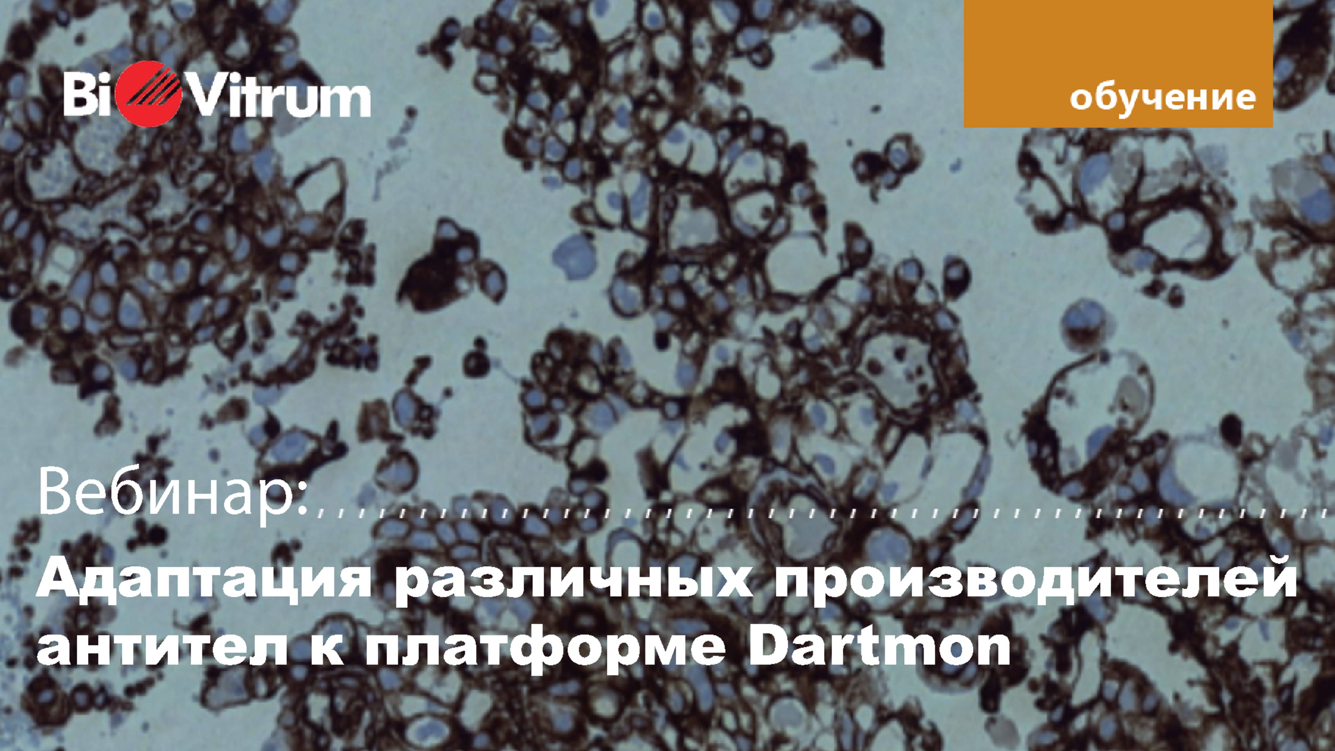 Адаптация различных производителей антител к платформе Dartmon