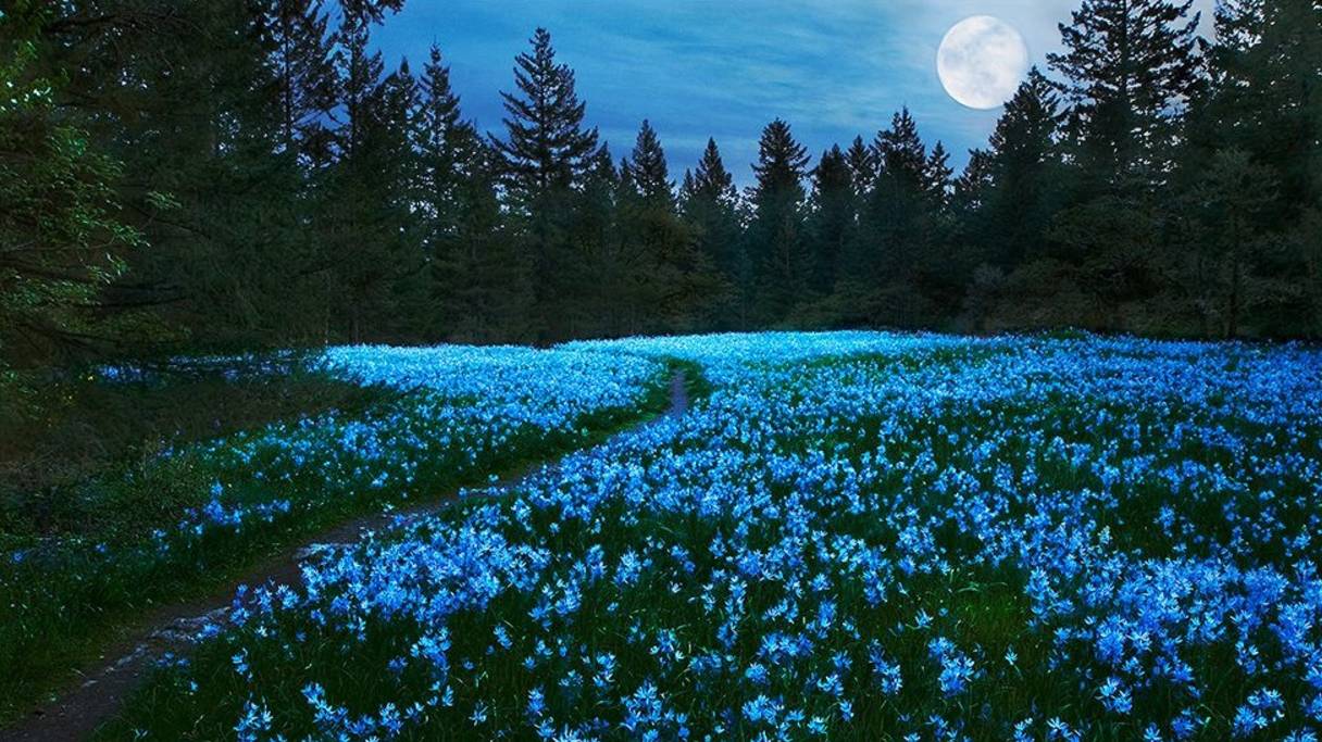 Вадим Утемесов – Синие сумерки (2025, AI SUNO)