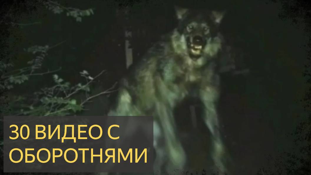 30 ВИДЕО С ОБОРОТНЯМИ (ШОК И УЖАС)