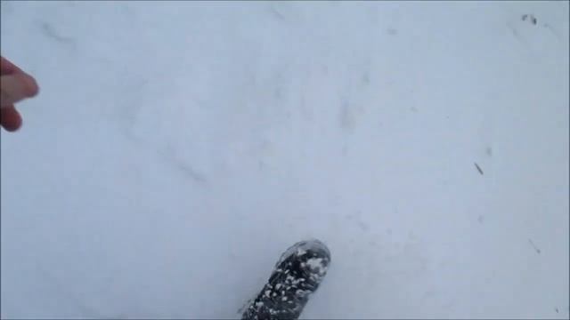 Талисманы олимпиады 2014 Мишка, зайка и леопард