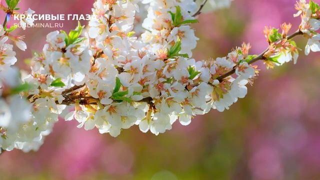 Красивые глаза. Скрытые аффирмации. Саблиминал.