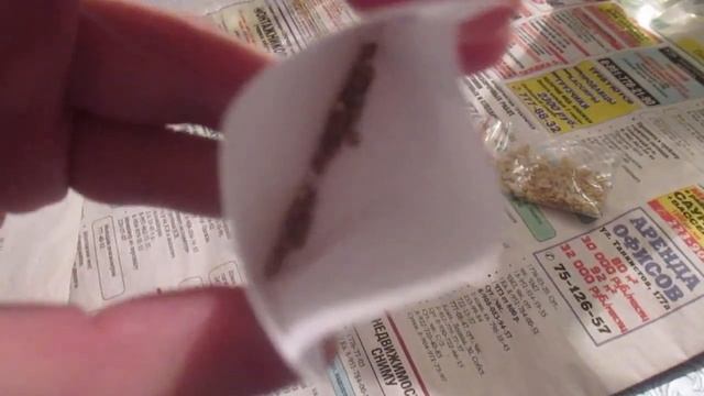 Семена помидоров. Или сколько вешать в граммах?