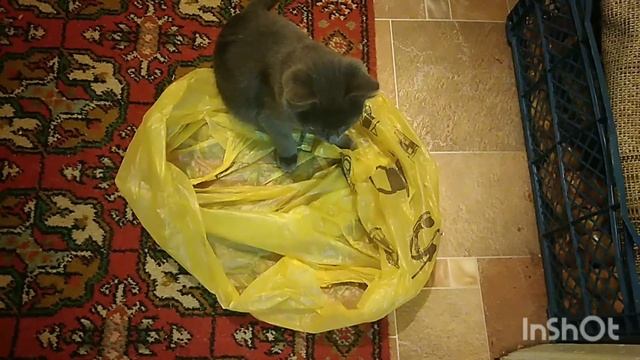 Маленькая Буся