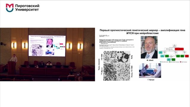 Классификация герминальных и соматических вариантов по «полезности» (AMP). Друй Александр