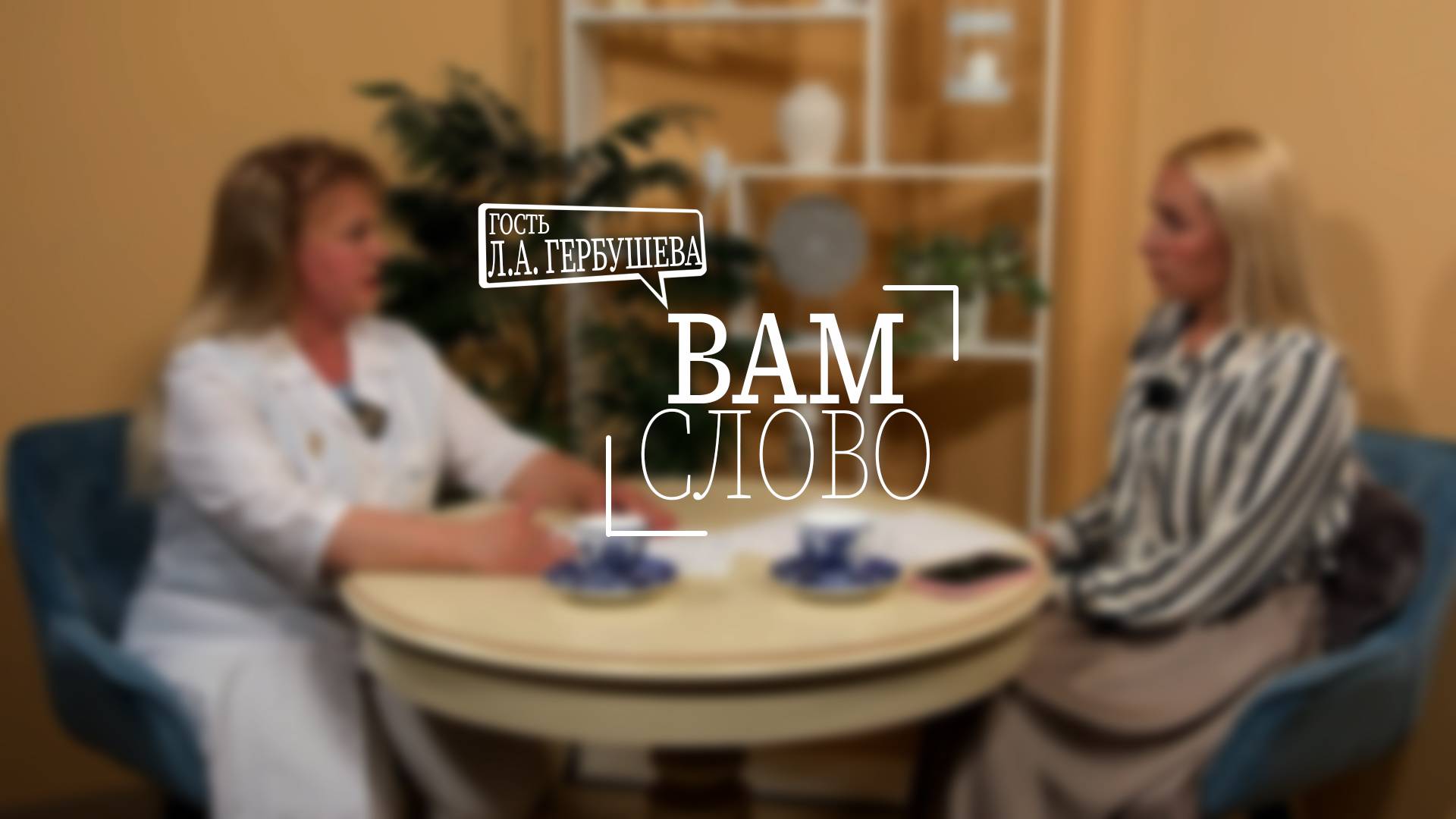 Передача "Вам слово". Гость: Л.А. Гербушева -  Заведующая отделением организации медицинской помощи