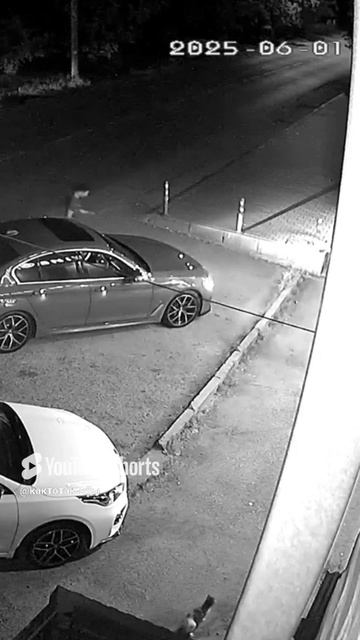 Незаконная торговля после 23.00