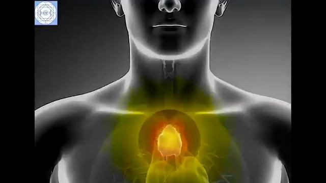 Матрица Гаряева - Волновой иммунитет