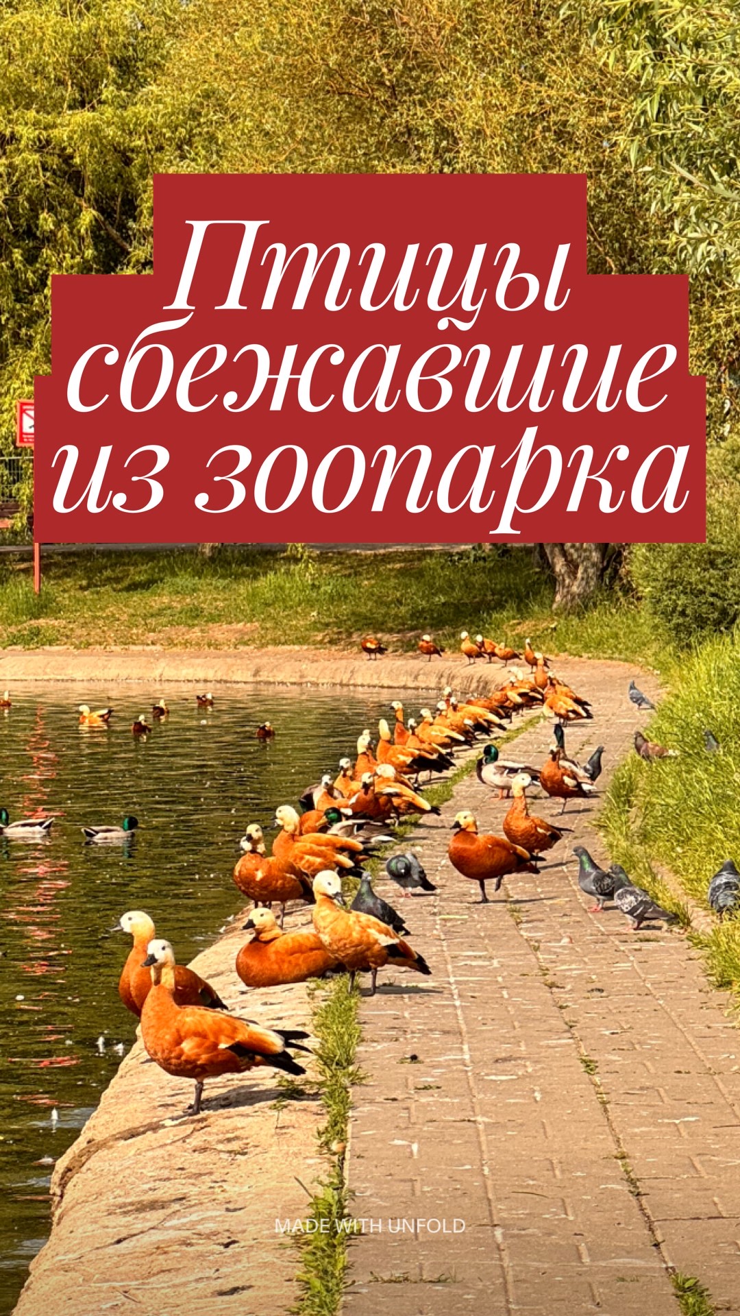 Московские Огари