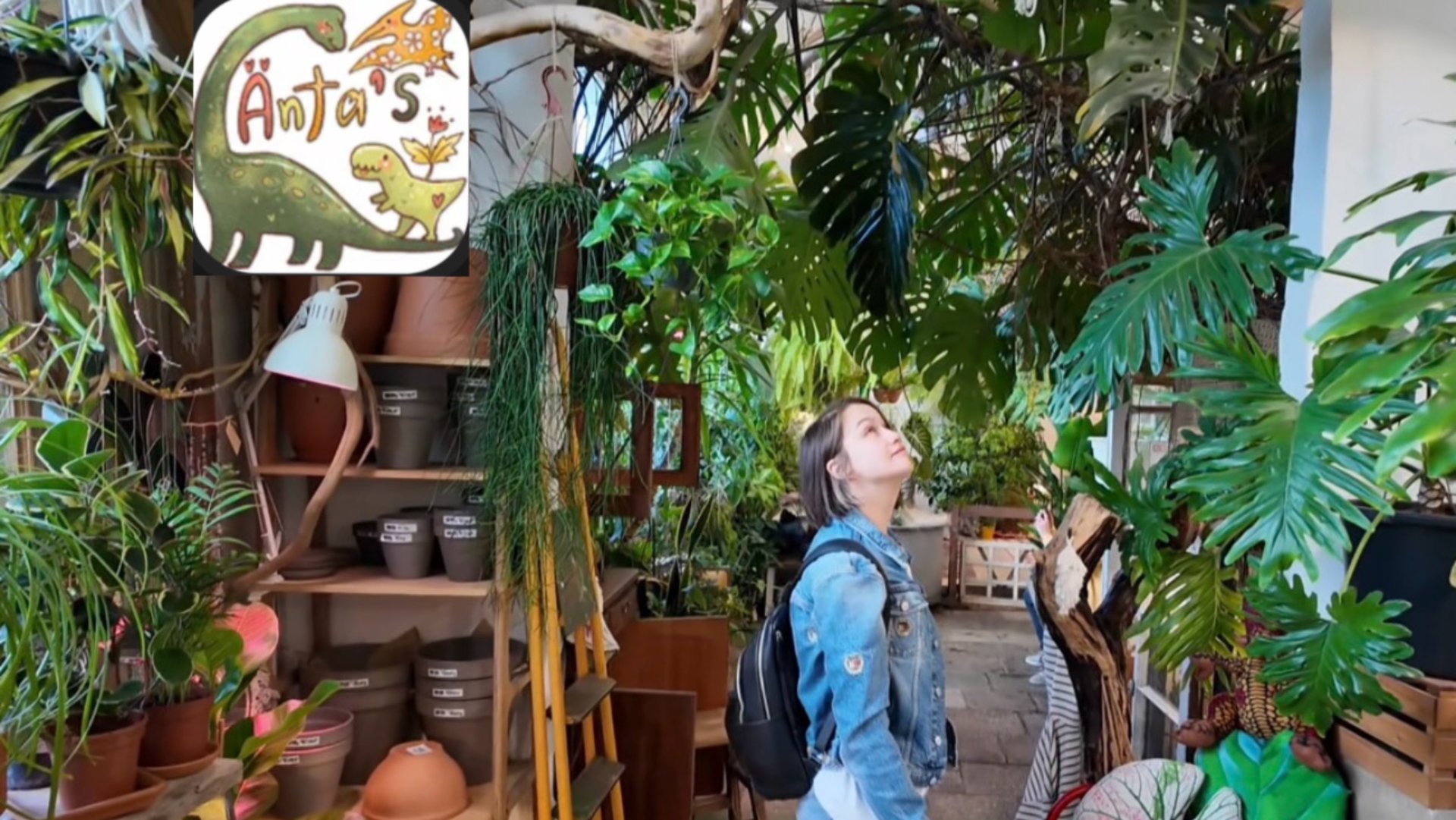 «Аранжерея» Pro.Änta’s СПб