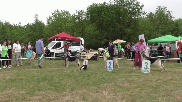 Сравнение на ЛС