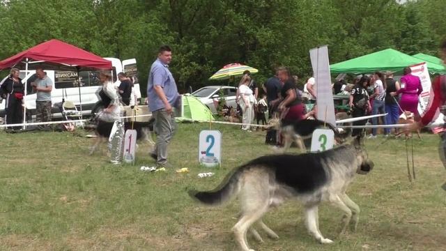 Производитель ГГ Лавр
