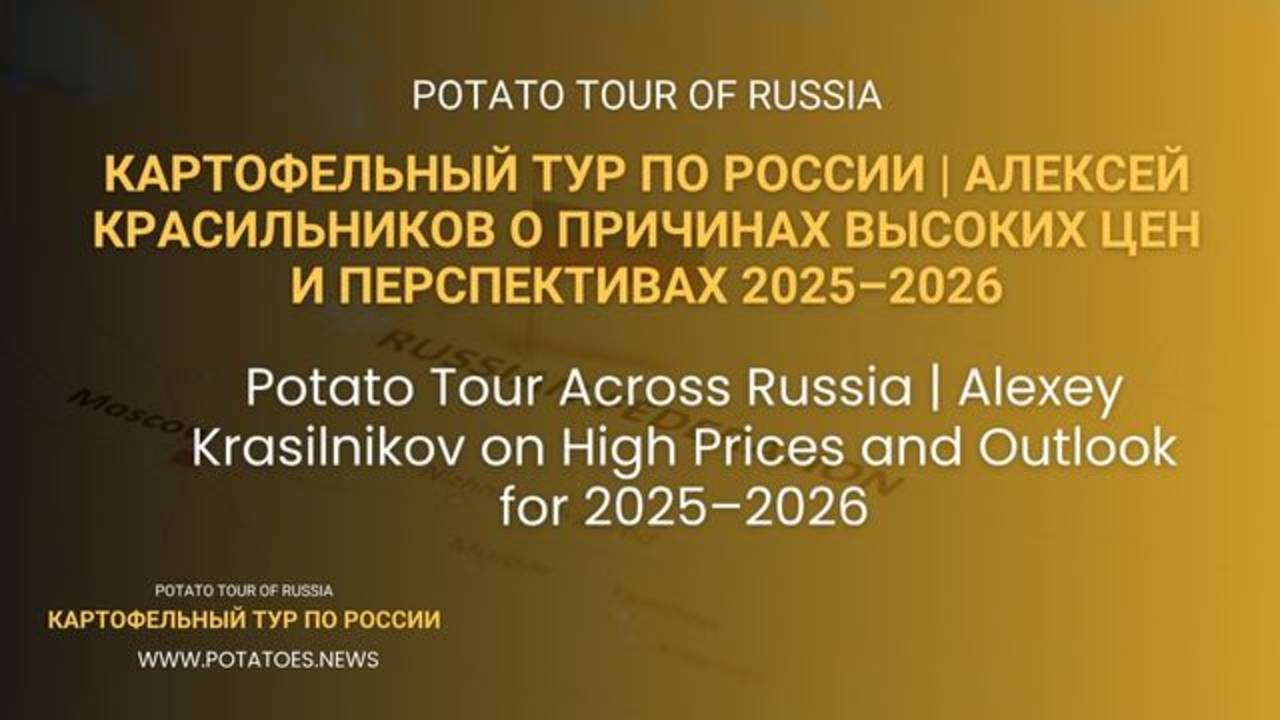 Картофельный тур по России | Алексей Красильников о причинах высоких цен и перспективах 2025–2026