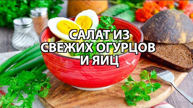 Салат с огурцом и яйцом за 10 минут – Вкусный весенний рецепт на скорую руку!