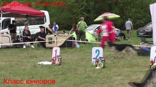 Класс юниоров